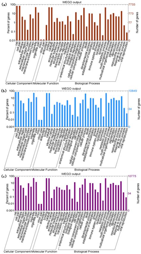 Functional Categorization Of Significantly Differentially Expressed