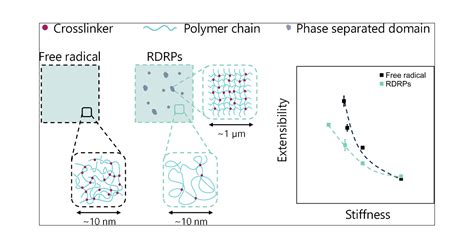 Impact Of Reversible Deactivation Radical Copolymerizations Rdrps On Gelation Phase