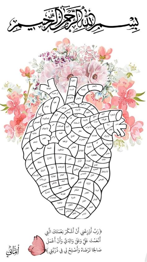 قلب سور القرآن【2025】