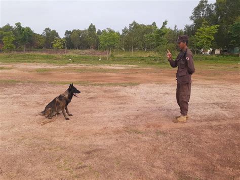 អគ្គនាយកស៊ីម៉ាក់ សុនខហិតគ្រាប់មីន អាវុធជាតិផ្ទុះ និងសុនខស្រាវជ្រាវបច្ចេកទេស សារព័ត៌មាន នគរវត្ត