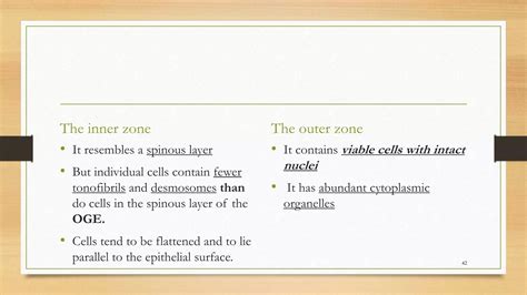 Ultrastructure Of Gingival Epithelium In Health And Disease Pptx