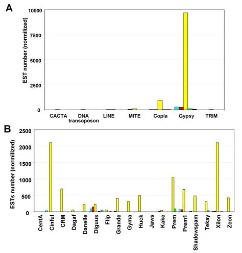 Presence Of Ests Similar To Tes In Maize Male Flower Libraries A
