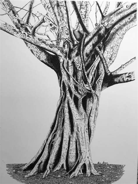 Anni Angus Ink Pen Drawings Landscape Drawings Nature Illustration