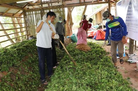 ເມືອງຫົງສາ ຝຶກອົບຮົມການເຮັດປຸ່ຍບົ່ມຊີວະພາບ ໃຫ້ປະຊາຊົນ 5 ບ້ານ