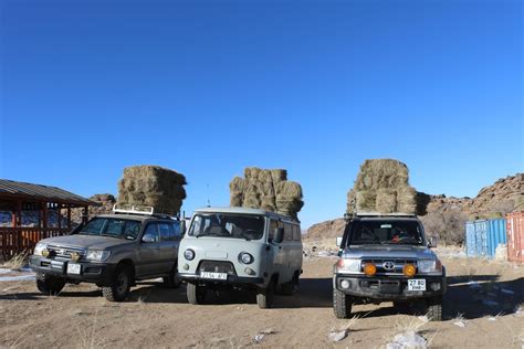 Зэрлэг уулын туруутан амьтдад 100 боодол өвс тараажээ