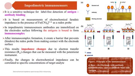 Electrochemical Impedance Spectroscopy Eis Pdf Chemistry Science
