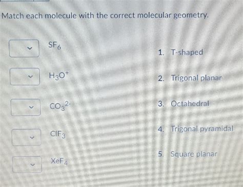 Solved Thank You Match Each Molecule With The Correct Molecular Course Hero