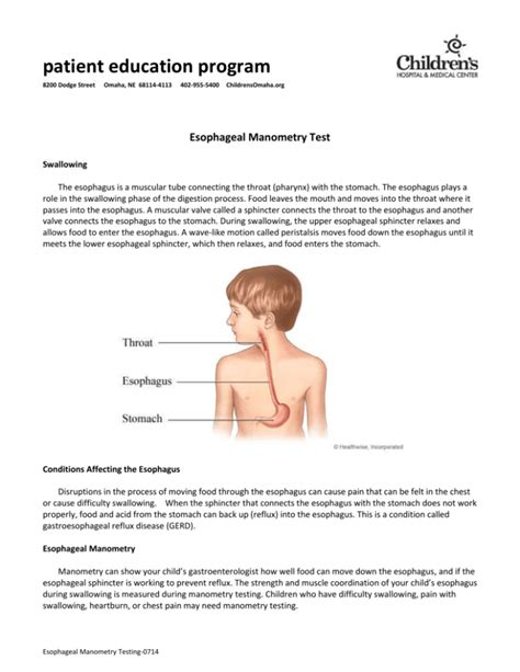 Esophageal Manometry Test