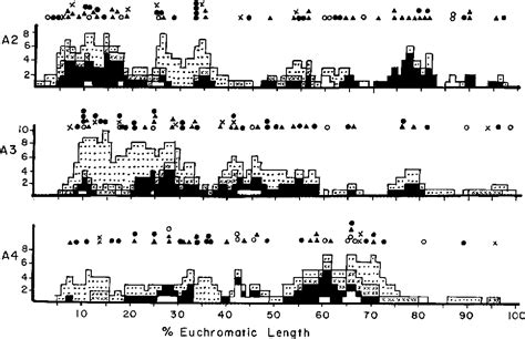 Figure 8 From Normal Synaptonemal Complex And Abnormal Recombination Nodules In Two Alleles Of
