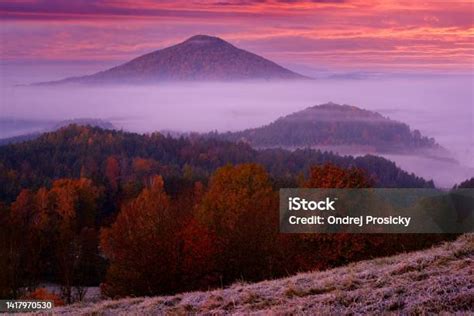 황혼의 일출 분홍색과 보라색 풍경 체코의 전형적인 가을 풍경 안개가 자욱한 아침과 언덕과 숲 보헤미안 스위스 공원의 아침 가을 계곡 Ceske Svycarsko 야생 유럽
