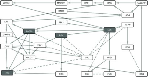 The Strongly Connected Components Of The Interaction Graph The