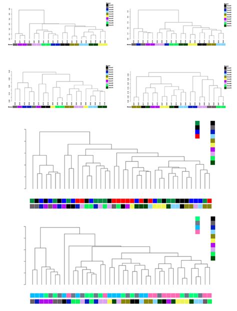 The UPGMA Hierarchical Clustering Analyses Based On The Weighted