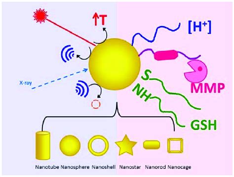 Scheme 1 Review Of Gold Nanoparticles Aunps Responsive To Stimuli Download High