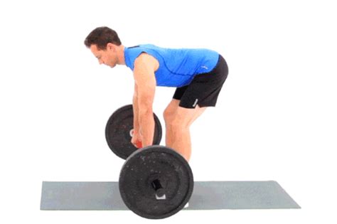 Barbell Row S