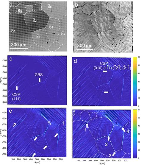 Sem Micrographs Of The Microstructure Of A Roi I A And B And