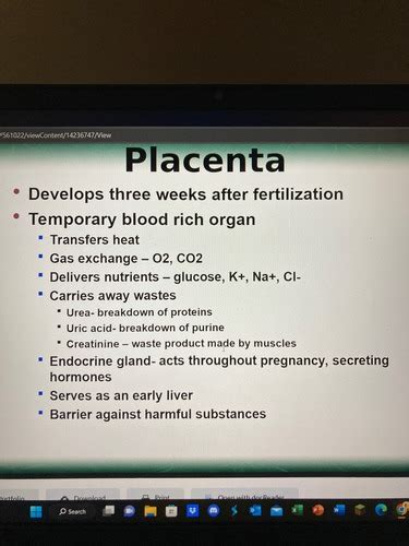 Obstetrics Flashcards Quizlet