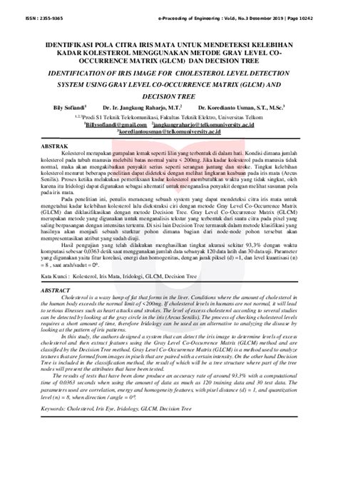 Pdf Identifikasi Pola Citra Iris Mata Untuk Mendeteksi Kelebihan Kadar Kolesterol Menggunakan