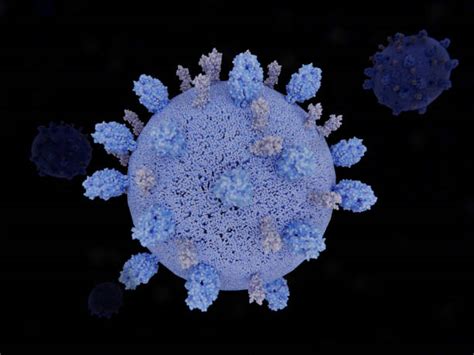 140개 이상의 모세기관지염 이미지 스톡 사진 그림 및 Royalty Free 이미지 Istock