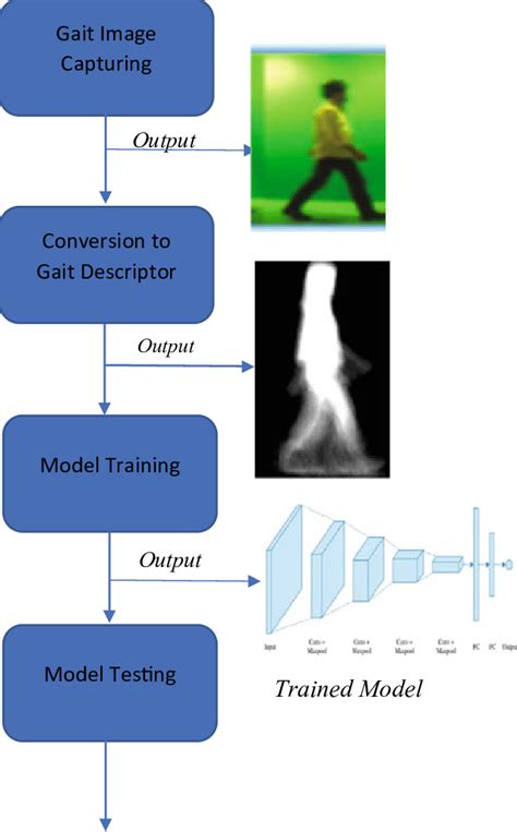 Age Estimation From Gait Without Manual Feature Extraction Download