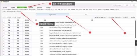 YouTube下载批量下载教程 叶赛文