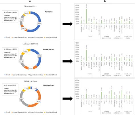 Variation In Cutaneous Patterns Of Melanomagenesis According To