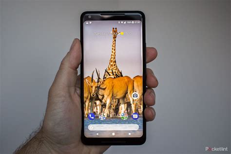 Google Might Add More Colour Options To Resolve The Pixel 2 XL S Display Problem