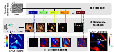 The Proposed Algorithm For Cacf Where At Pixel Location R A Ensemble
