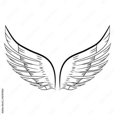 Sketch Of A Pair Of White Wings Vector Illustration Hand Drawing
