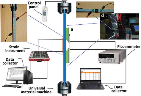 Schematic Representation Of Strain Measurement System For Suspended Download Scientific Diagram
