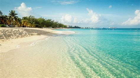 Tripadvisor: более 1 миллиарда отзывов и публикаций об отелях ...