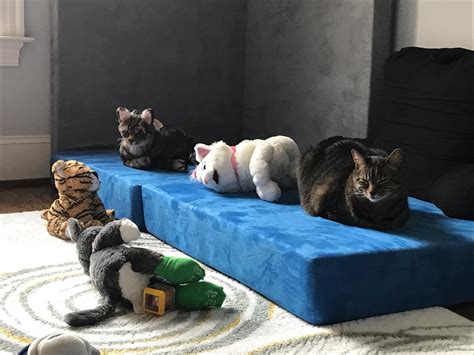 Understanding Linear Functions And Relationships 8th Grade Quiz Wayground