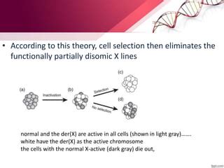 Sex Chromosome Translocation PPTX
