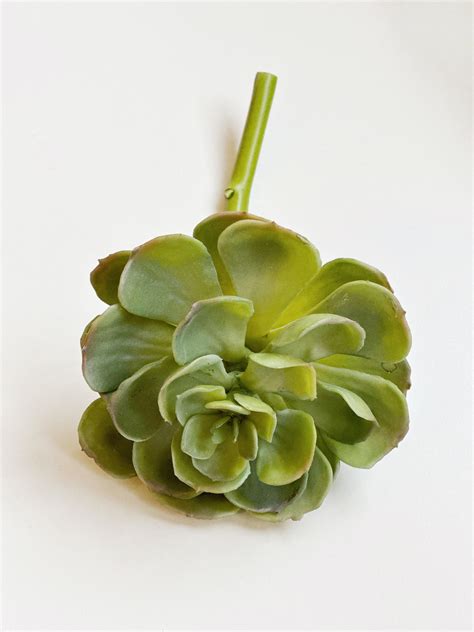 Rosette Succulent Large Stem Vintage Barn Chicks