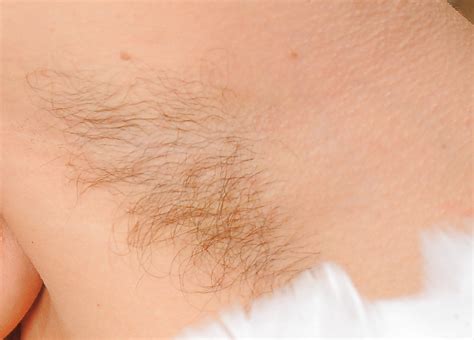 Hairy Armpits 2 Porn Pictures Xxx Photos Sex Images 1668636 Pictoa
