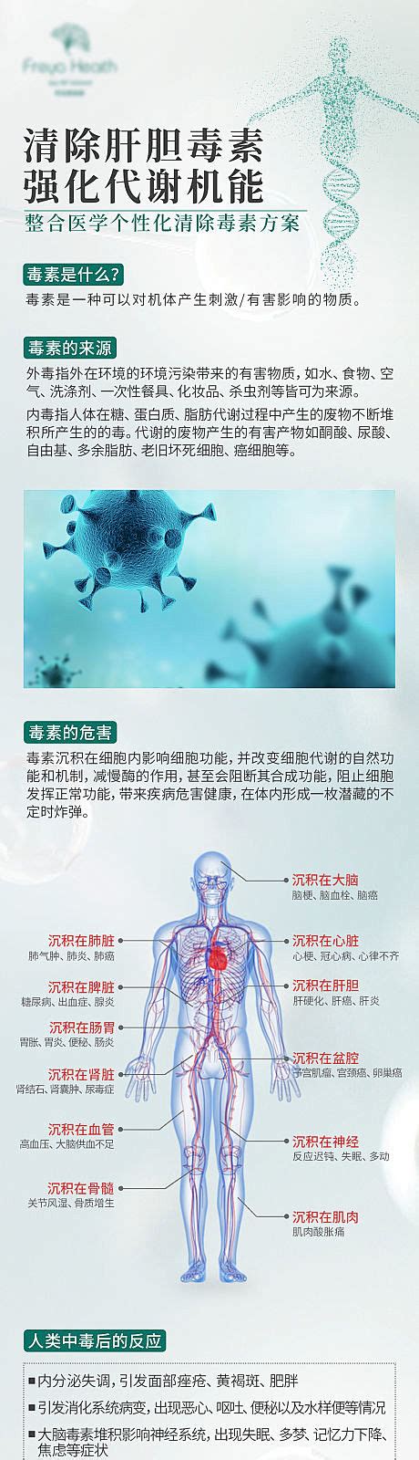 肝胆排毒抗衰长图 源文件