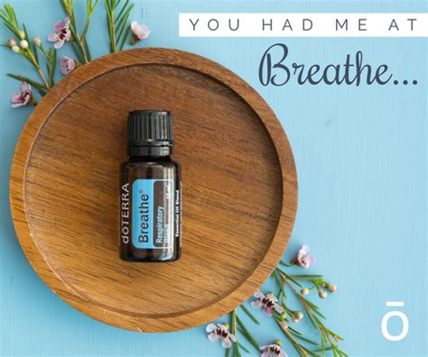 50 doTERRA Breathe Reviews and Testimonials – Home Essential Oils