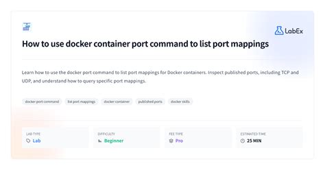 How To Use Docker Container Port Command To List Port Mappings Labex