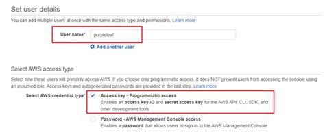 create an aws read only access token virtue security