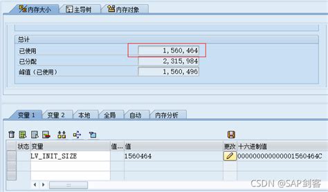 【学习笔记】类对象的内存释放abap Oop Csdn博客