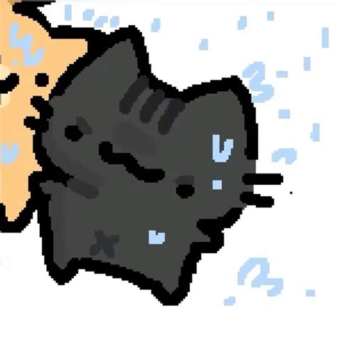Basiilleaf Marching Cat Pfps Cool Cat Matching Pfp Cute Matching