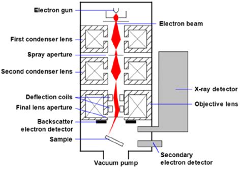7 Layout Of Scanning Electron Microscope Sem [5 6] Download