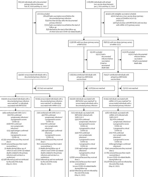 Protection From Previous Natural Infection Compared With Mrna