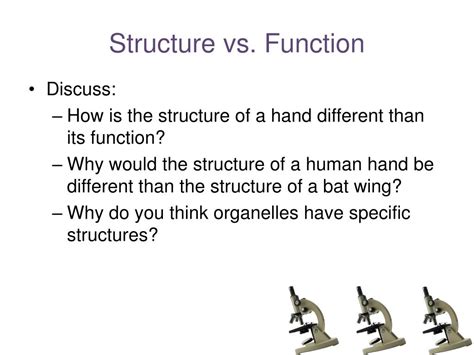 Ppt Cell Structure And Function Powerpoint Presentation Free