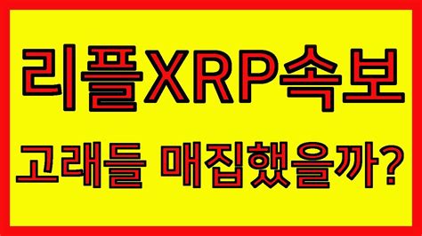 리플 코인 전망 Xrp 고래들 매집했을까 궁금하네~ Youtube