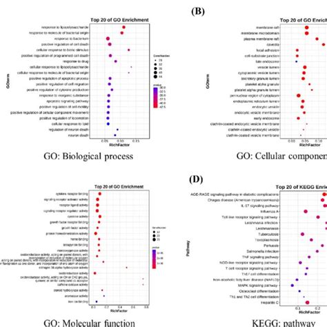 Go And Kegg Enrichment Analysis Of Arnd Bubble Charts Of A