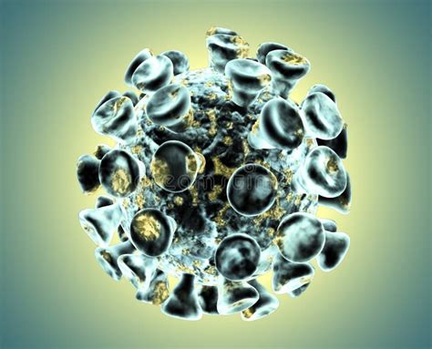 3d Render Of Embryo Cleavage Stock Illustration Illustration Of