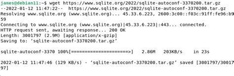 how to install sqlite on debian 11 linuxways