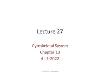 Lecture Cytoskeleton Pptx