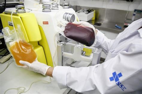 Pec Do Plasma Entenda O Que é O Projeto Que Libera A Comercialização