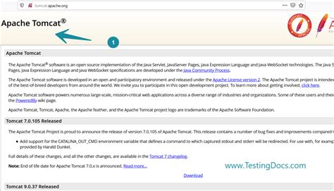 Tomcat Server Archives Testingdocs